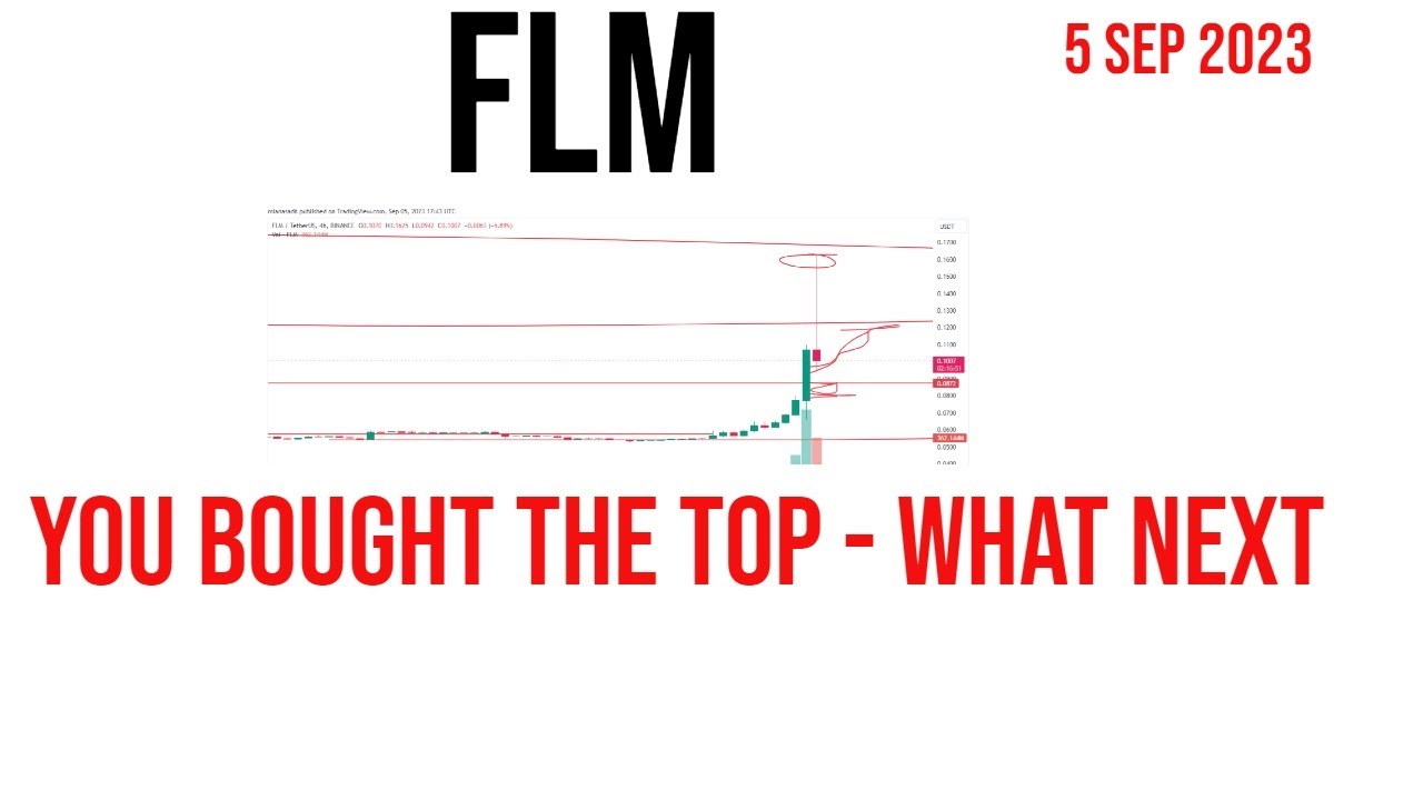 Flamingo | flm coin price prediction & Analysis , News Update - 5 ...