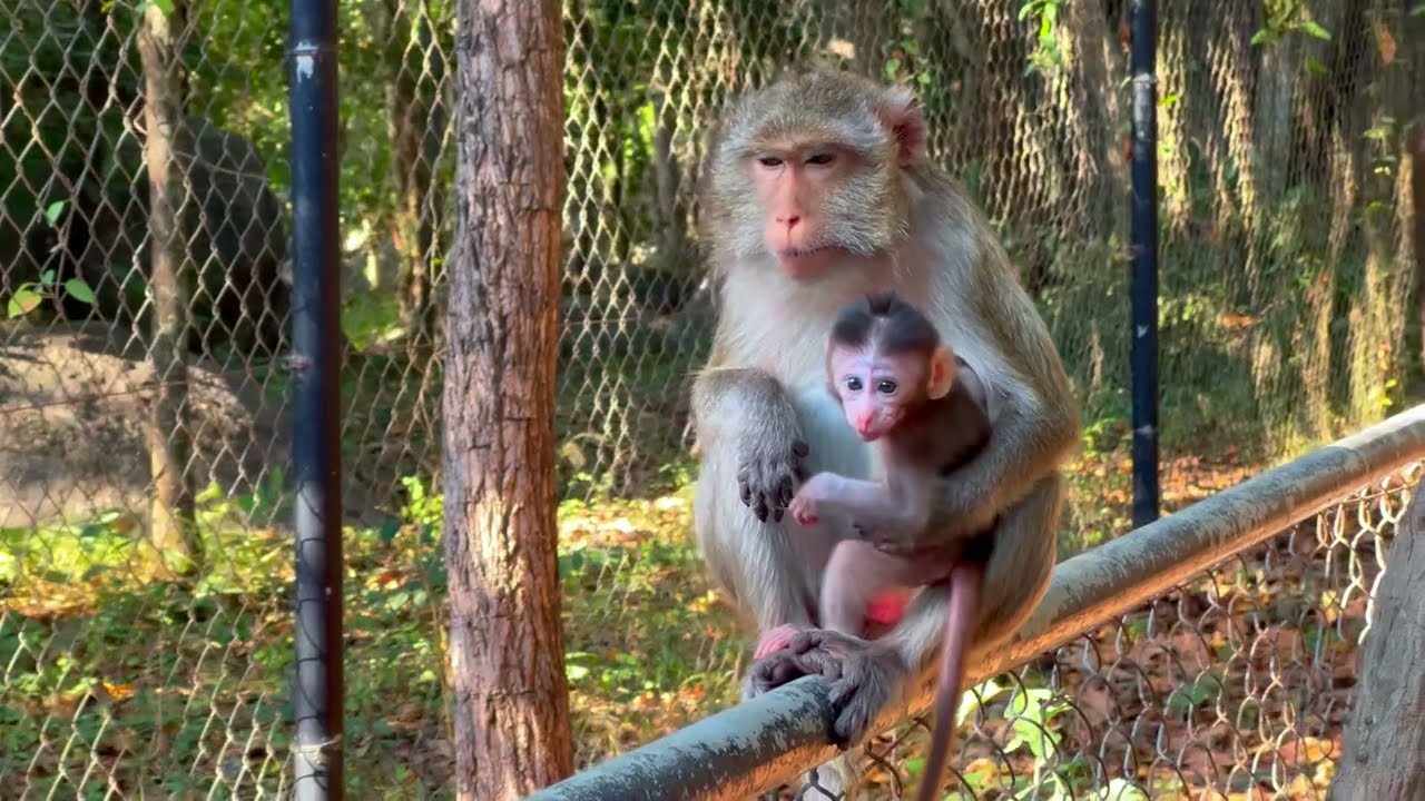 INCREDIBLE! Baby Born Unexpectedly – Finder Becomes First Mom! - YouTube