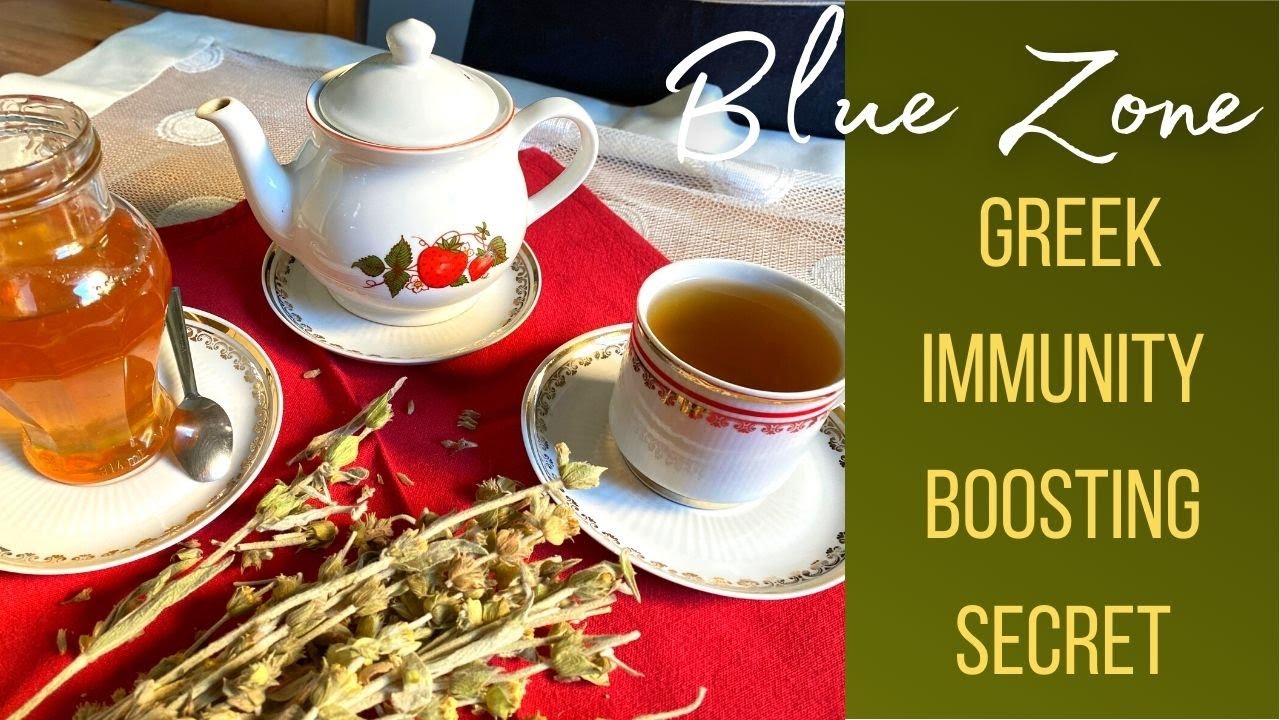 Hippocrates Recommended It ! We Re-Introduce It - Immune Boosting Tea ...