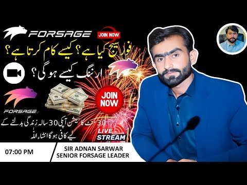 Forsage Busd Complete Plan - YouTube