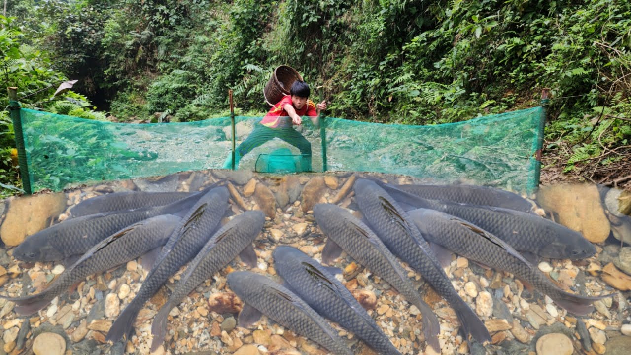 The boy Lam used a fishing net to catch fish in the stream. Luckily he ...