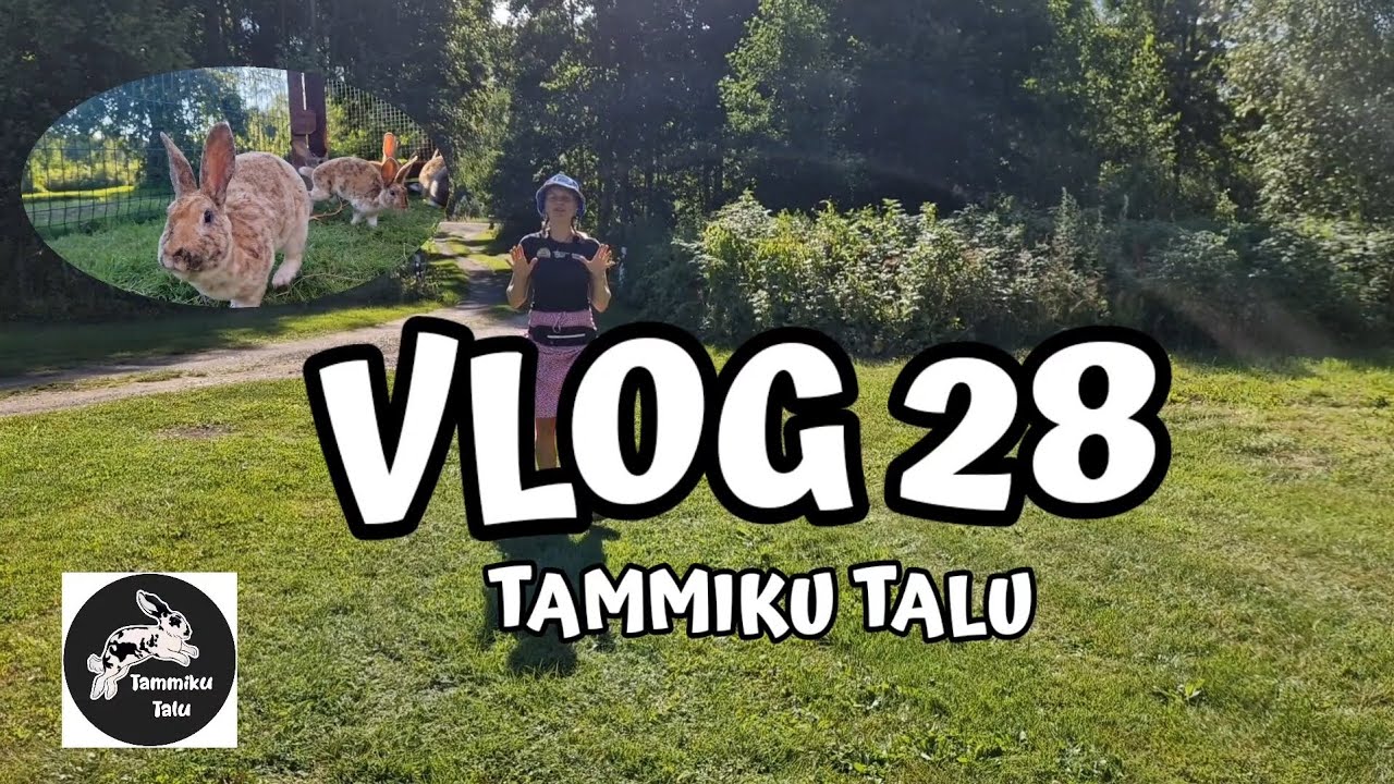 VLOG 28 TAMMIKU TALU, AVATUD TALUDE PÄEV @birgitojamets2614 - YouTube
