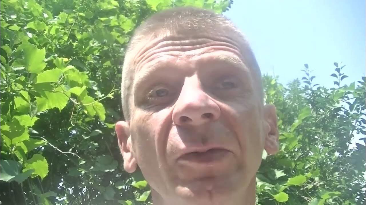 Wsuchajcie tego #kononowicz #major #suchodolski #szkolna17 #us17 #knur - YouTube