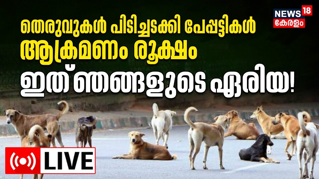 LIVE : Stray Dog Attack In Kerala | Rabies Death Kerala | Kerala News ...