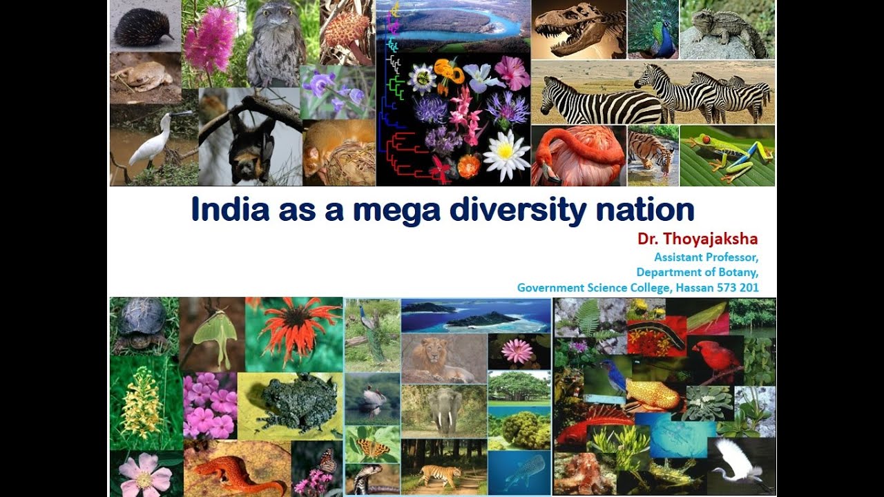India as a mega diversity nation - YouTube