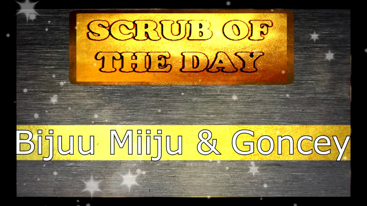 Full scrub of the day song (Bijuu Mike) - YouTube
