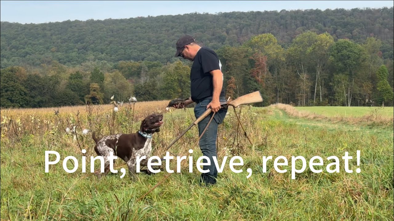 Point, retrieve, repeat! - YouTube