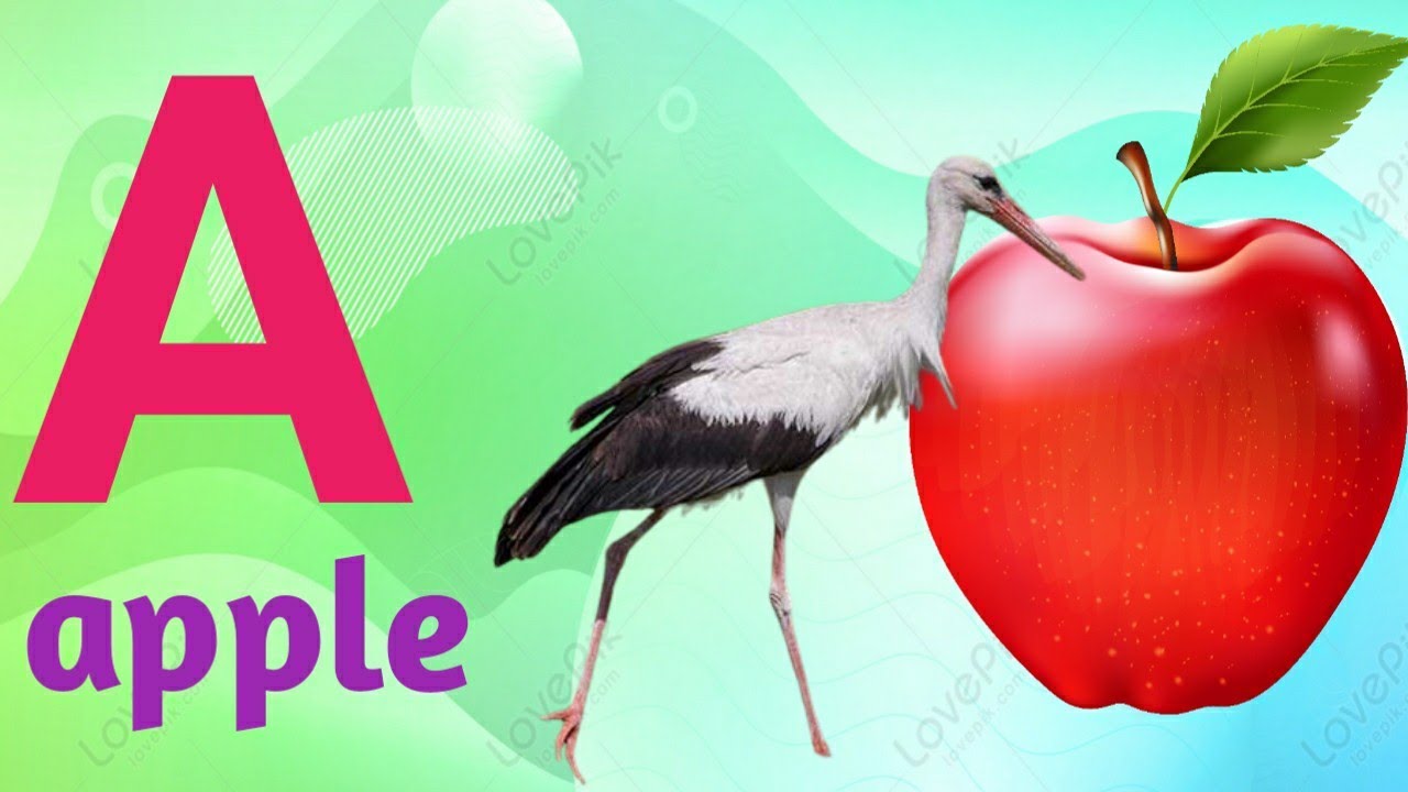 a for apple,a for apple b for ball,a for apple b for ball c for cat,a ...