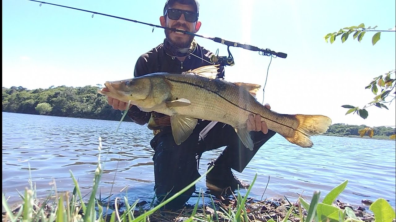 Robalão Bruto na Artificial - Pescaria de Robalo Flecha com isca ...
