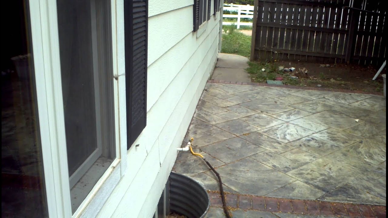 Miller moth migration - YouTube