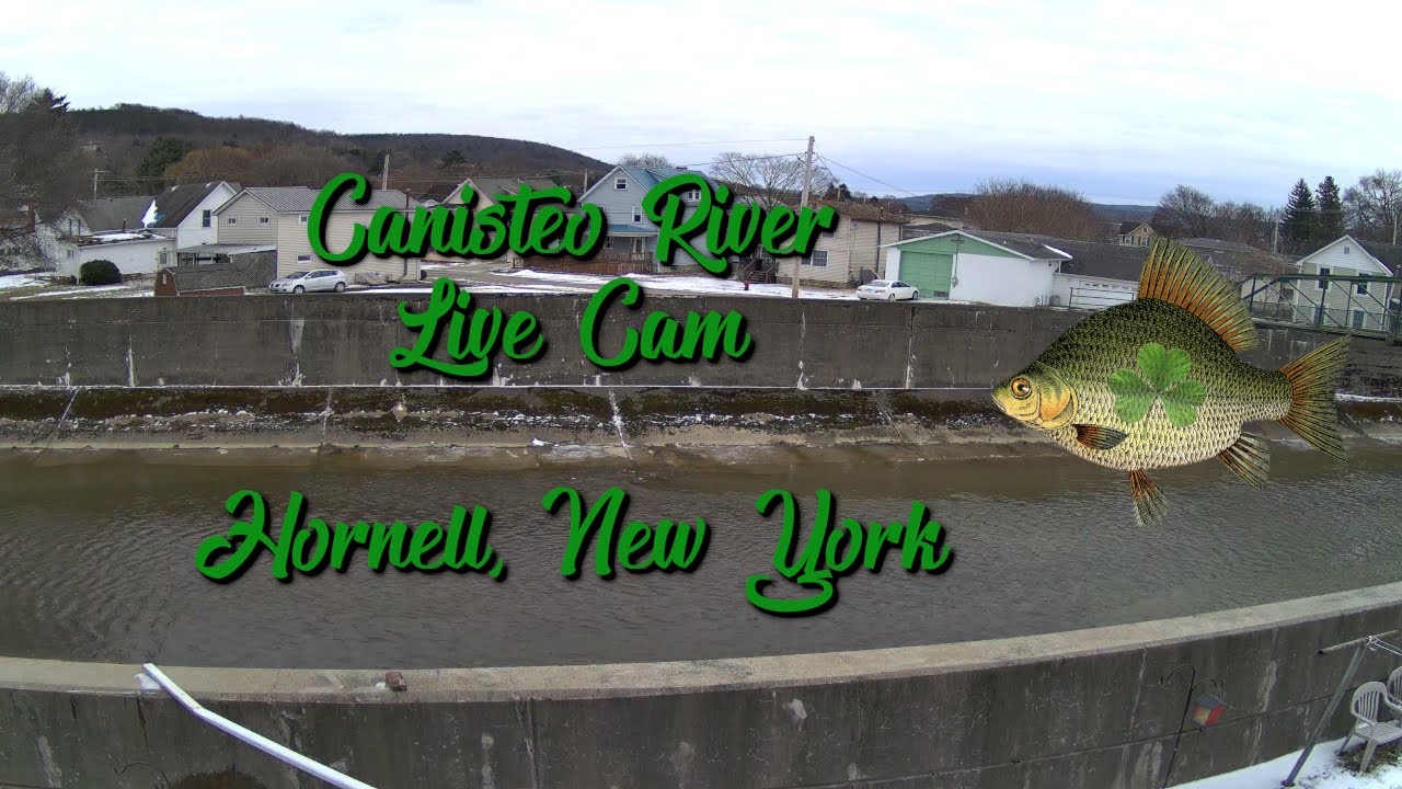 Canisteo River Live Cam 24/7 - Hornell, New York - 3-16-2025 - YouTube