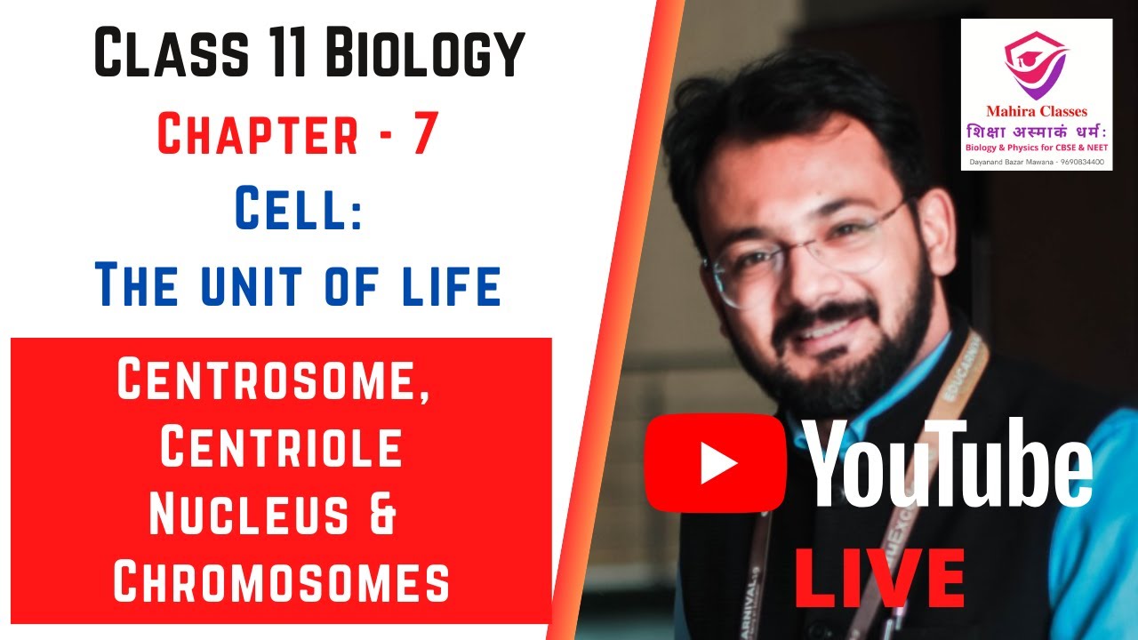 Class 11 | Chapter 7 - CELL: THE UNIT OF LIFE |Ribosomes|Centrosome ...
