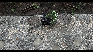Using Stones to Improve Drainage, Under Deck Project