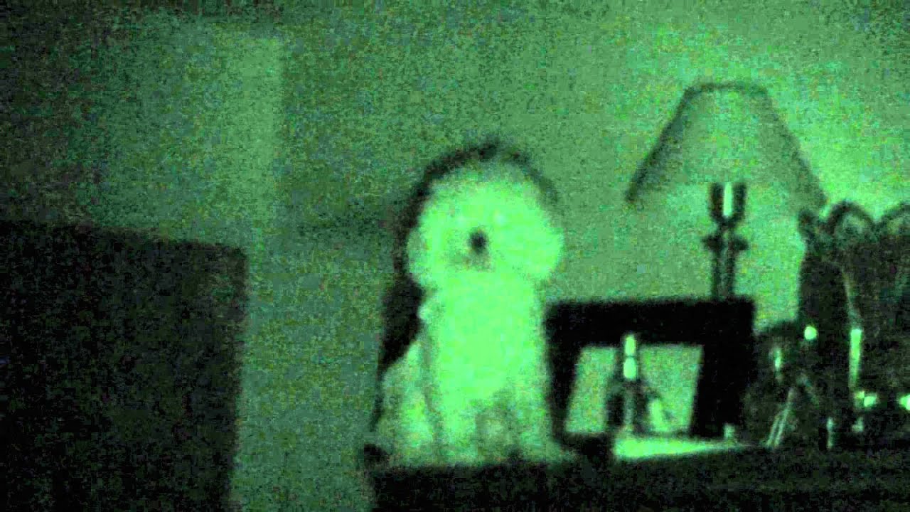 The Cursed Dog - YouTube