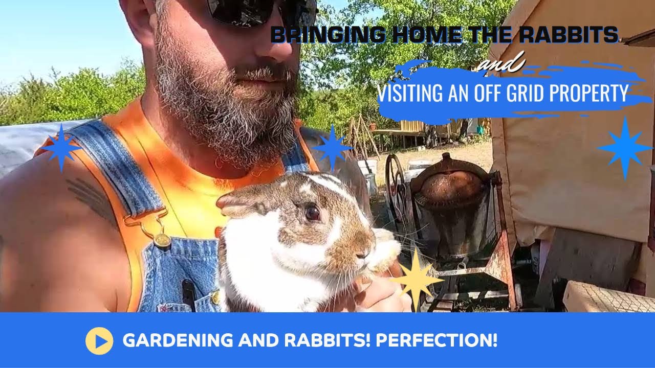 Visiting an Off Grid Property, and getting our Rabbits! - YouTube