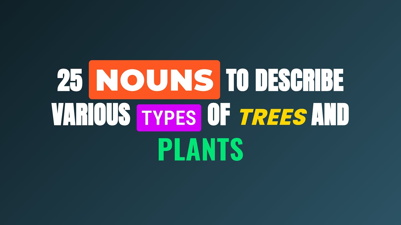 25 Nouns to Describe Various Types of Trees and Plants - YouTube