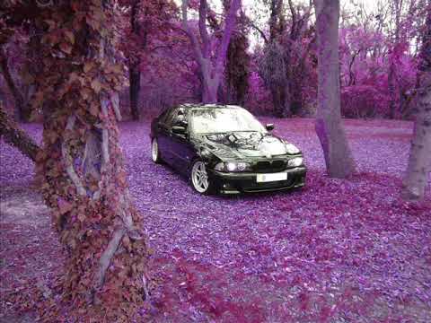 Borko maitara evropeisko BMW 2021