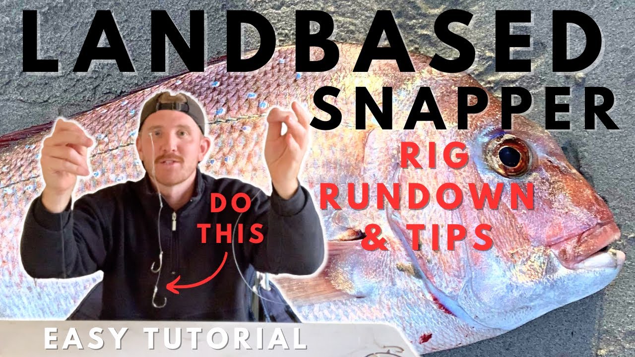 Land Based Snapper Fishing Rig (How to) and Why I Use Sacrificial ...