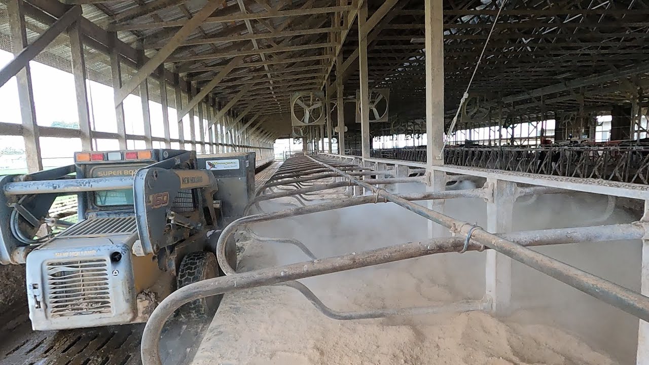 Random Friday Work | 10th Generation Dairyman | The Content Farm