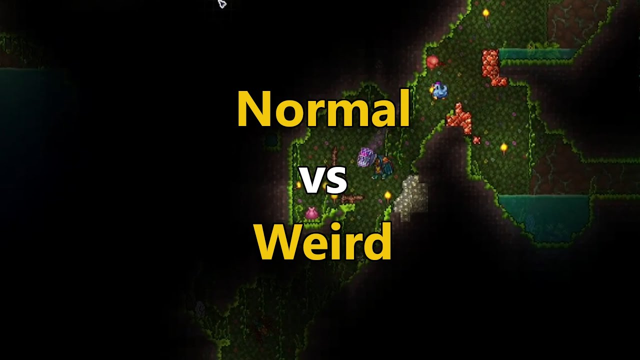 normal is weird and weird is normal - YouTube