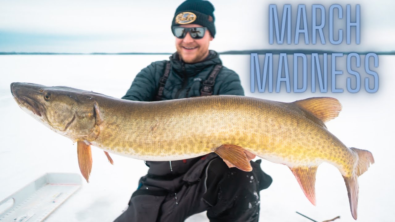Ice Fishing Musky in March - YouTube