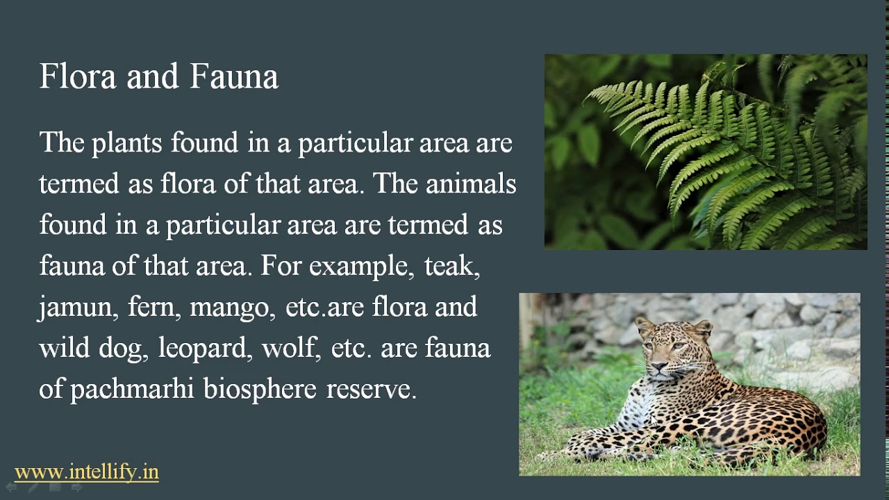 Biosphere Reserve- Conservation of Plants and Animals (Class 8- Science ...
