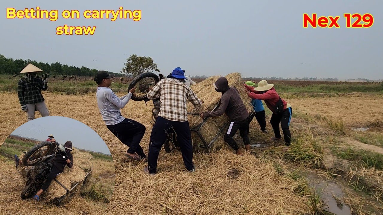 Betting on straw truck racing is funny nex 129 Special New Video - YouTube