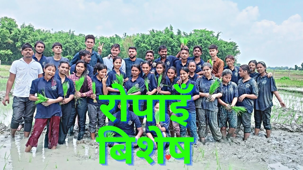 ropai bises/rice cultivation /rice farming in Nepal/collage ropai - YouTube