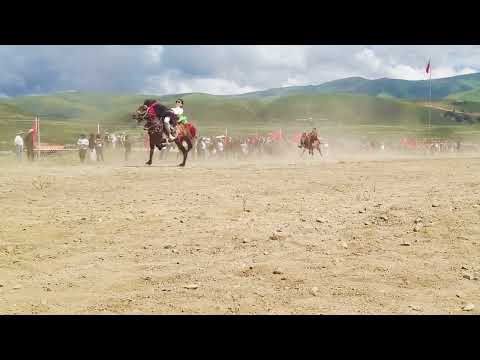 Garze'nin Tibet Dansı Garzesi Trolleyen Atların Evi Büyüleyici Atlar