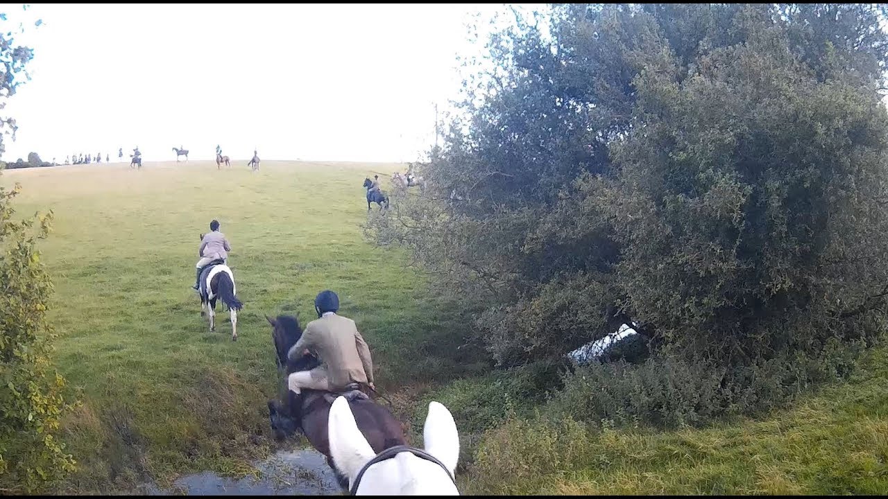 Farmers Bloodhounds Hound Exercise 2019 Primrose Hill - both horses! 🐶🍷 ...