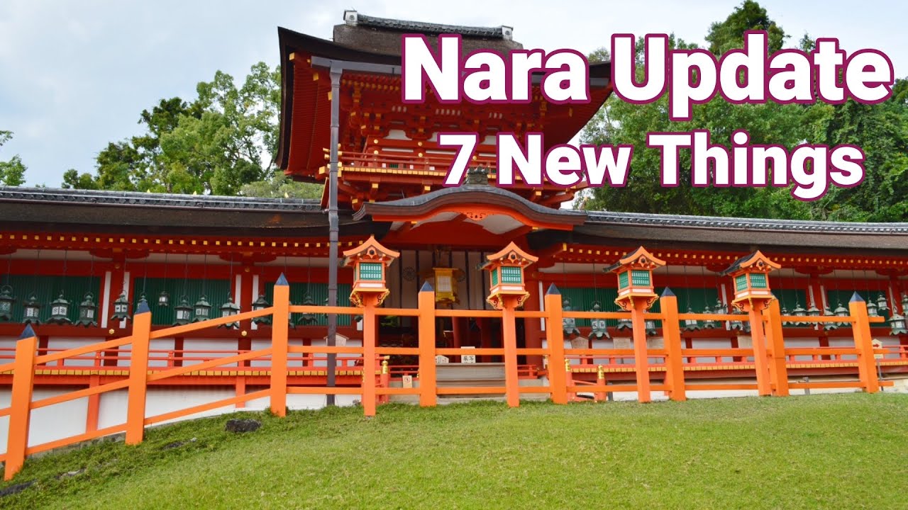 NARA HAS CHANGED | 7 New Things to Know Before Traveling Nara - YouTube