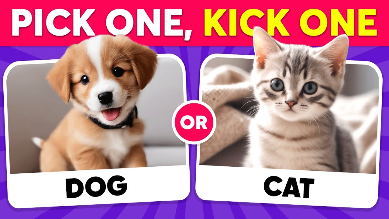 Would You Rather...? Animals Edition 🐶 Monkey Quiz - YouTube