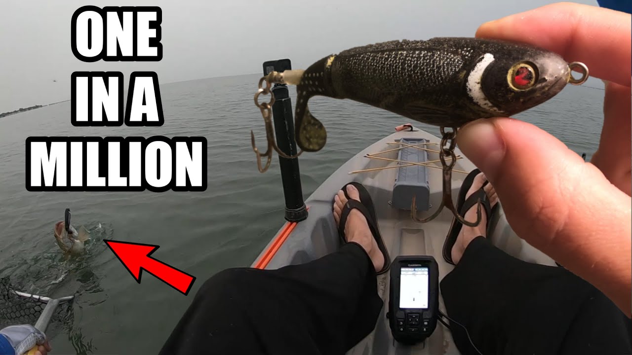 Whopper Plopper Fishing for LAKE MONSTERS! - YouTube