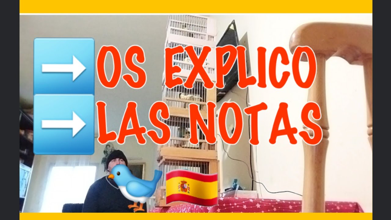 OS EXPLICO LAS NOTAS AÚN QUE NO RINDEN APENAS.🐦🇪🇸 678516031 - YouTube