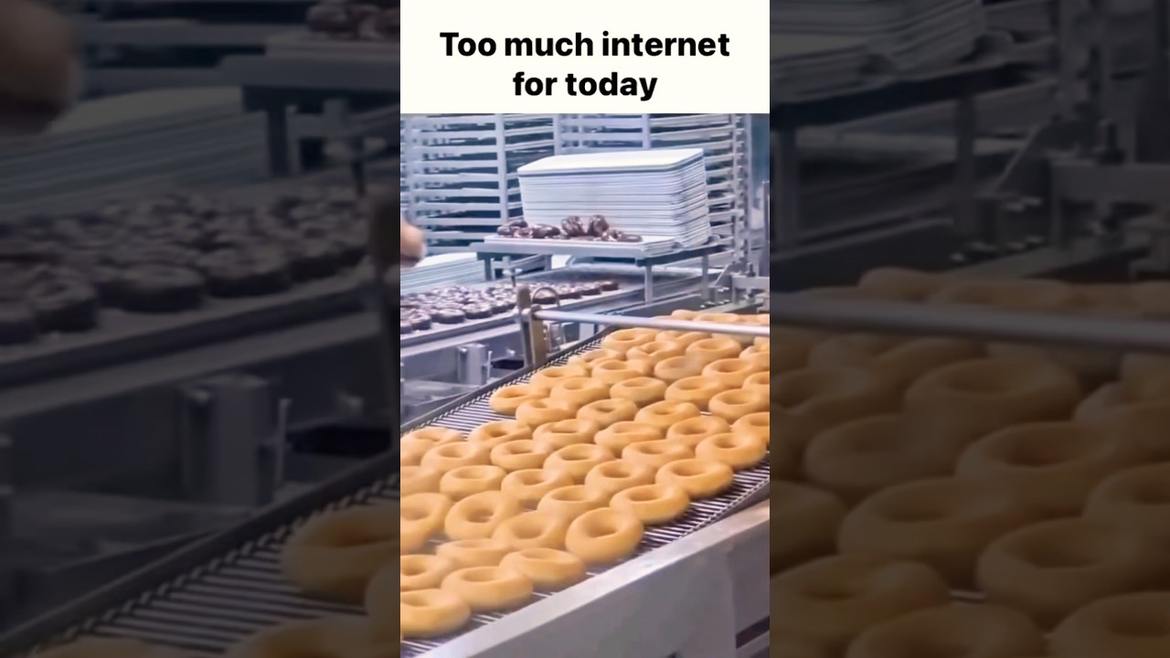 subscribe if you think its too much internet for today 😂 #cute #birds # ...