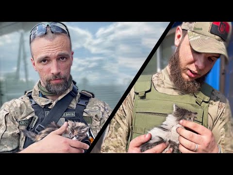 Ukrainian Soldiers Rescue Kittens
