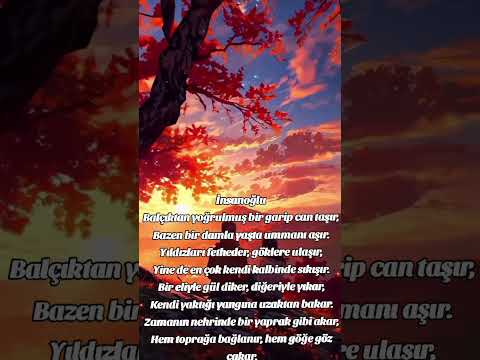 Ey  insan oğlu