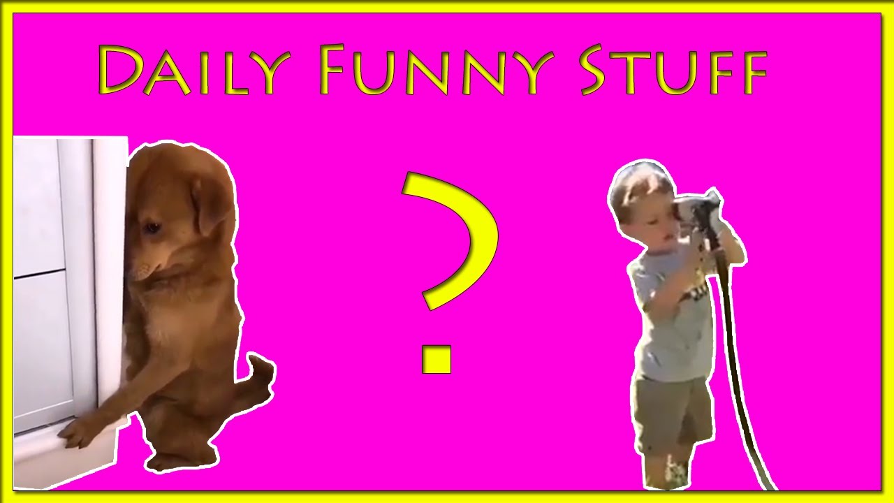 Daily Random Funny Stuff 5 - YouTube