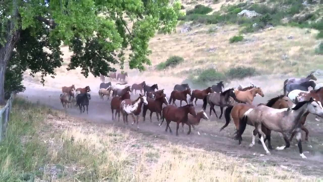 Eaton's Ranch - YouTube