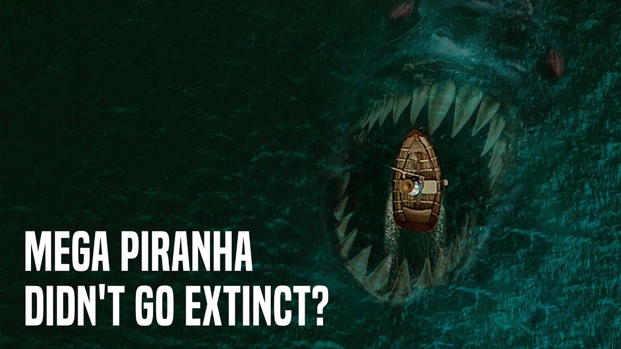 Real Mega Piranha