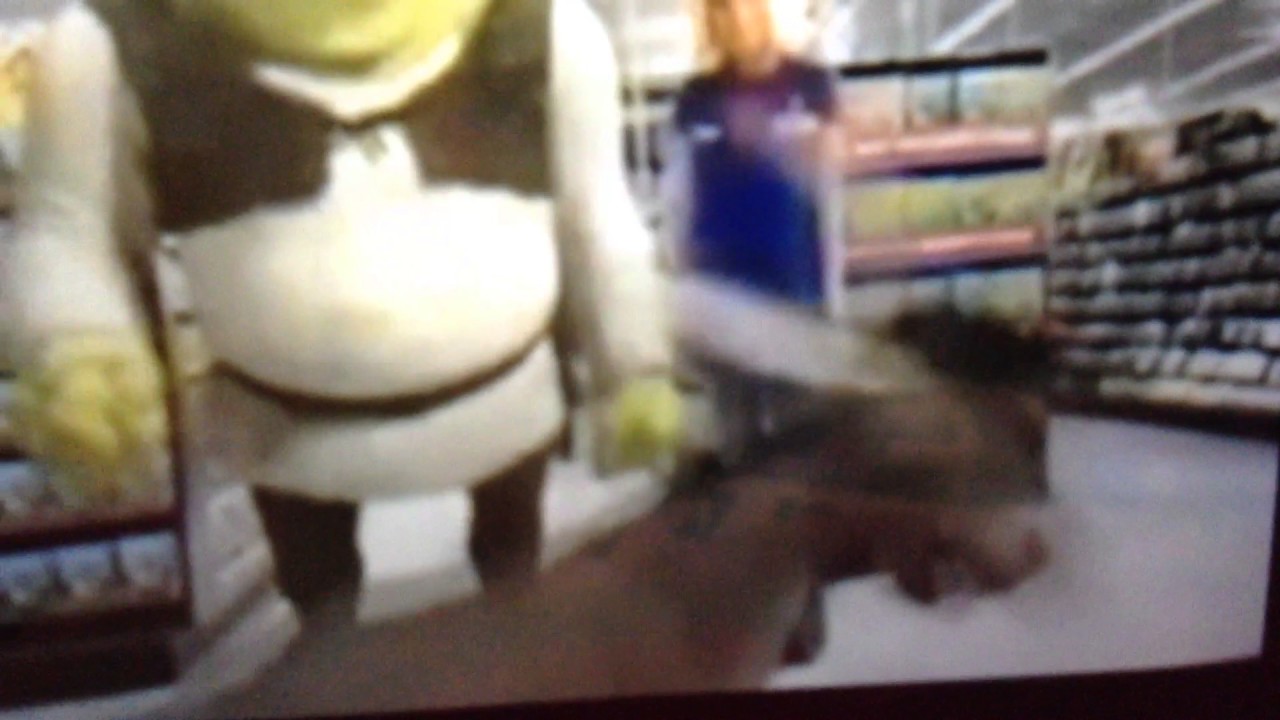 Shrek 2 TV Spot DVD - YouTube