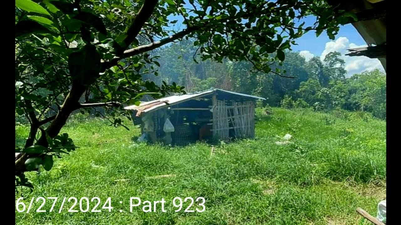 Yaj Pov Thiab Soob Ntxaij Los Raug Nyab Laj Tua Nram Ntug Dej Ntu2 Kawg - YouTube