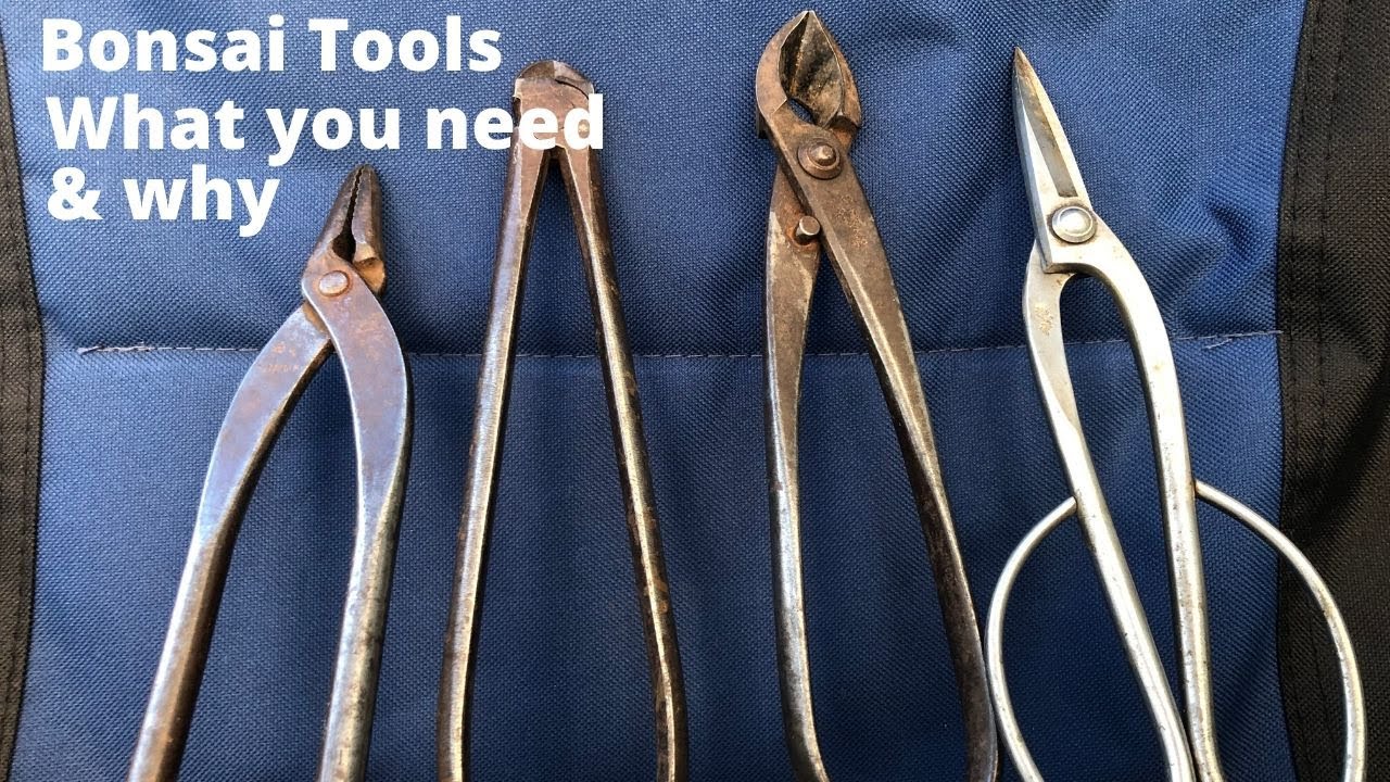 Bonsai Tools what you need and why Bonsai tools basics - YouTube