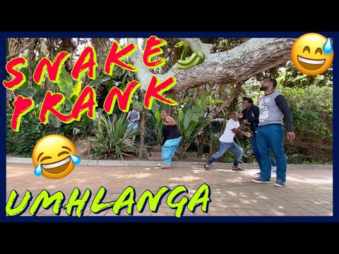 Umhlanga Snake Prank, South Africa - YouTube