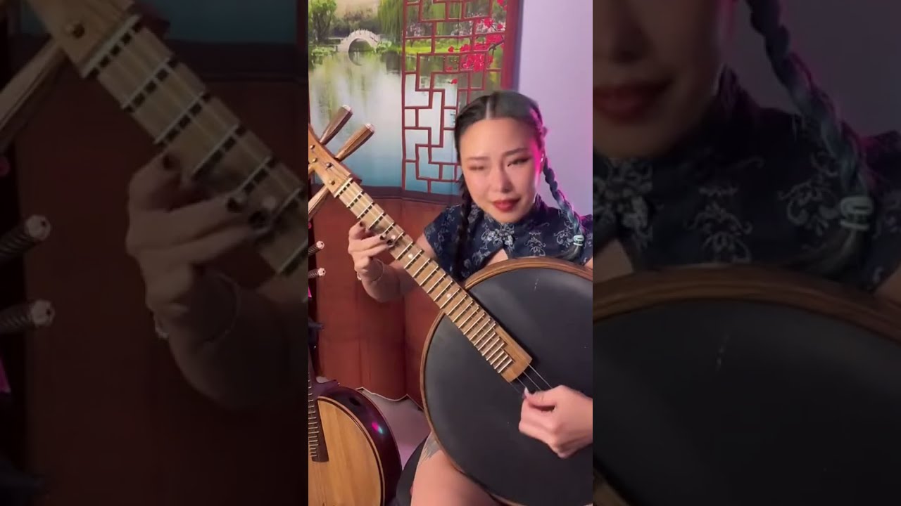 System of a Down - Aerials (Electric Ruan Cover) | Nini Music - YouTube