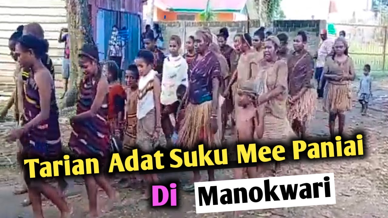 Tarian Adat !!! Suku Mee Pada Pelantikan Kepala Suku Mee diManokwari ...