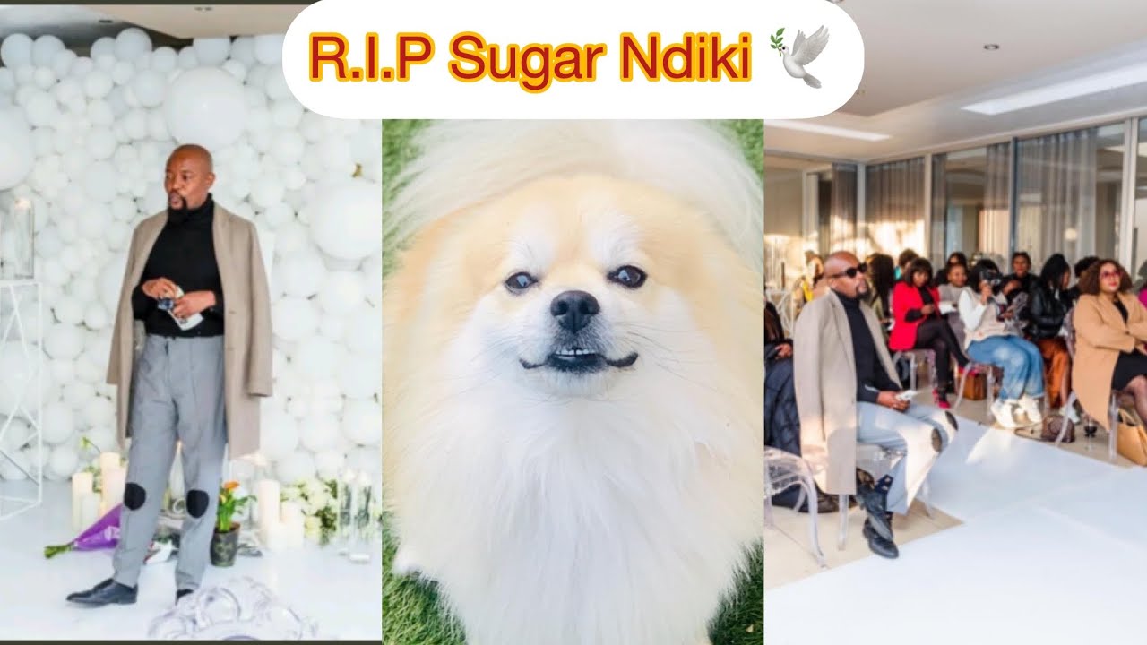Video:Moshe Ndiki Throws proper funeral for his Late dog Sugar Ndiki|R ...