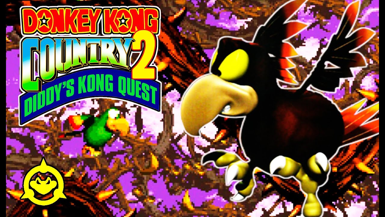 Donkey Kong Country 2 - Screech's Sprint - YouTube