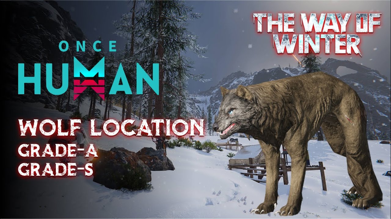 Where to Find Wolves in Once Human | Way of Winter | - YouTube
