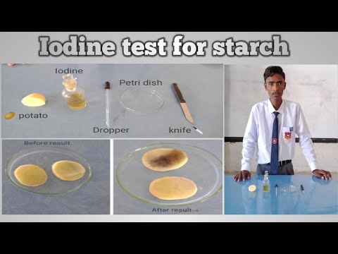 Iodine test for starch.#iodine #test#starch@learnwithsidraafreen8740 ...